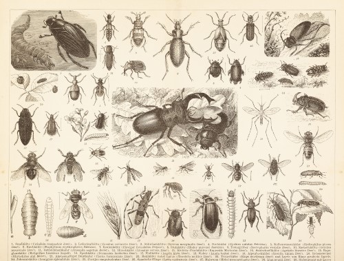 Educational Resources - WJEC / Adnoddau Addysgol - CBAC