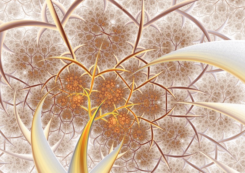 Educational Resources - WJEC / Adnoddau Addysgol - CBAC